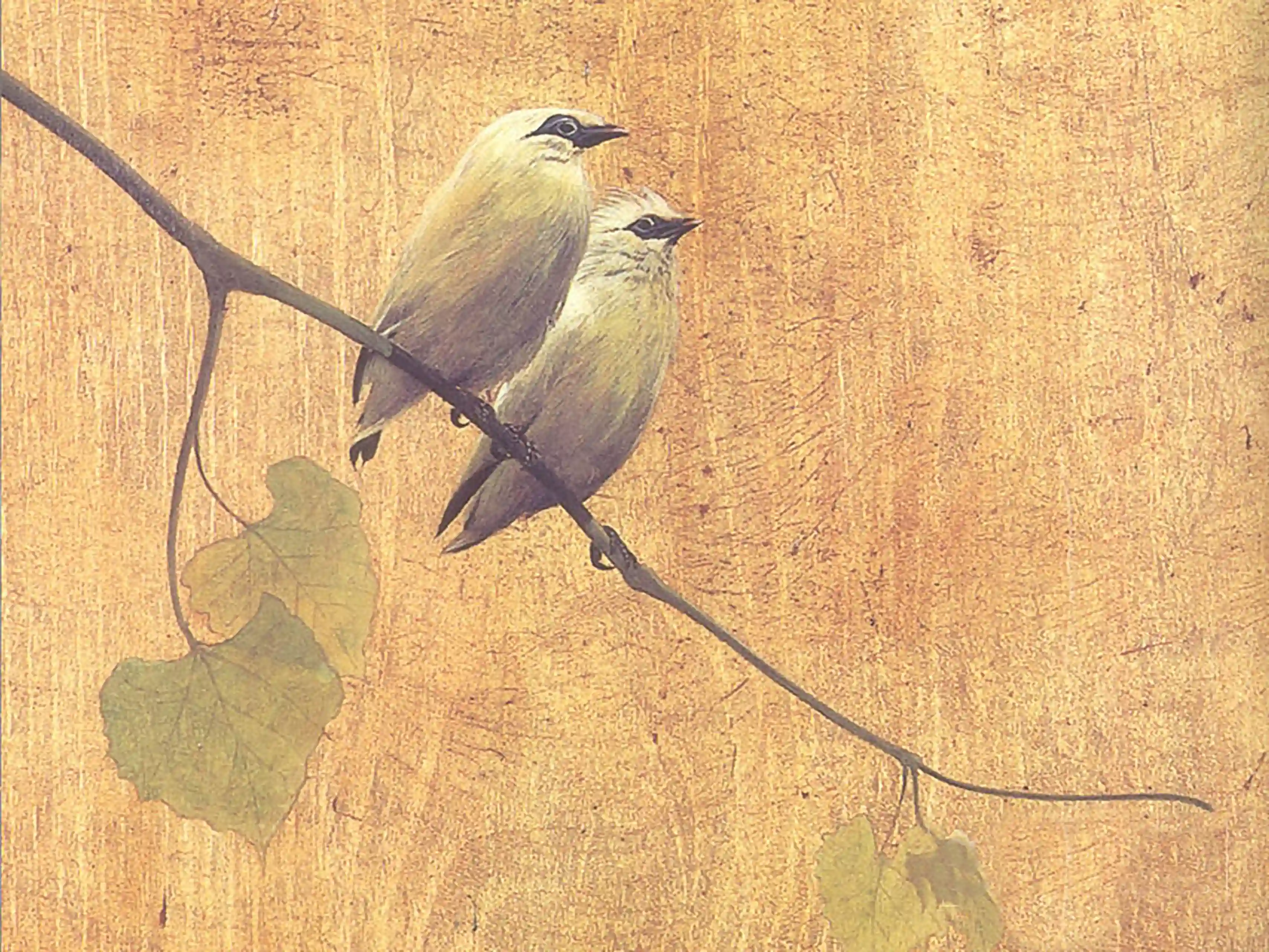 Ancillary Works - Ostad Tanbur - The Art of Tanbur